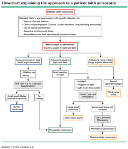 Neuro-ophthalmology Question of the Week: Physiologic Anisocoria ...